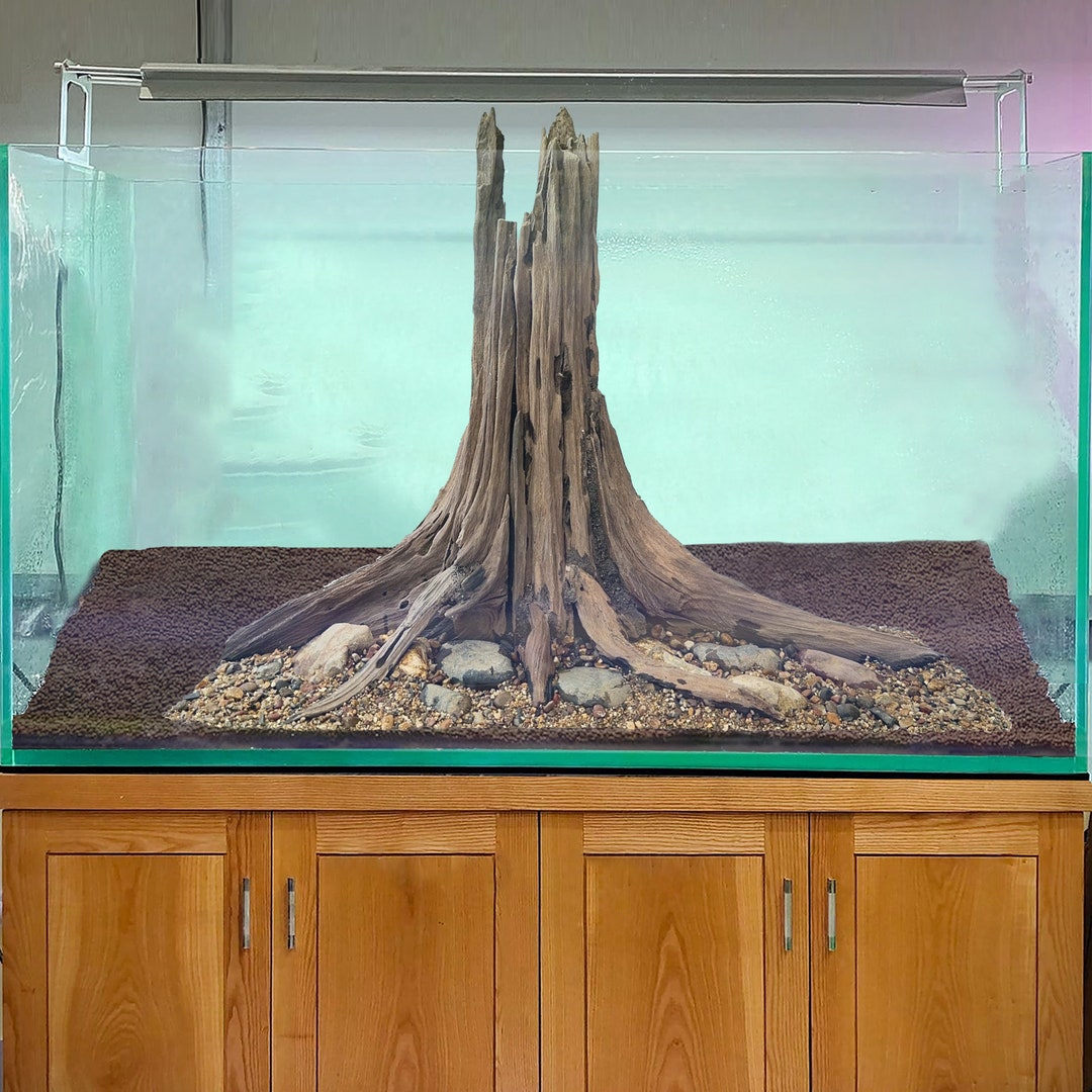 Aquarium Driftwood Stump Tree Aquascape Hardscape Wood Terrarium Fish ...