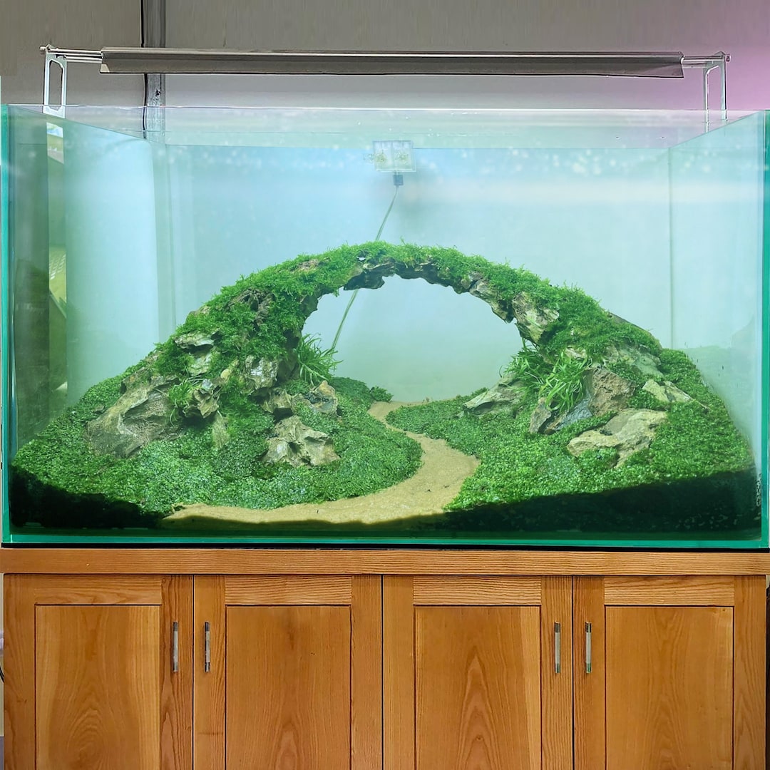 Dragon Stone Aquarium Rocks Aquascape Driftwood Hardscape Large Fish ...