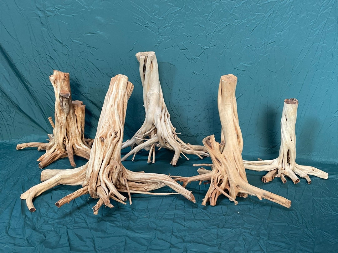 Driftwood Stump Aquarium Decor Artisan Driftwood Creations for Fish ...
