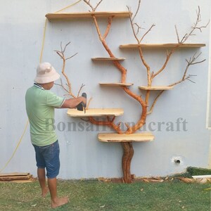 Tree Branch Shelves Live Edge Wall Mount Floating Bookshelf Tree ...