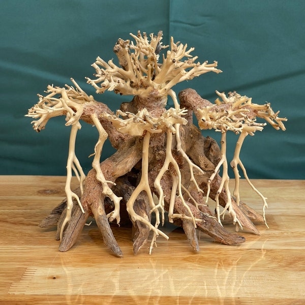 Bonsai Tree for Fish Tank - Etsy