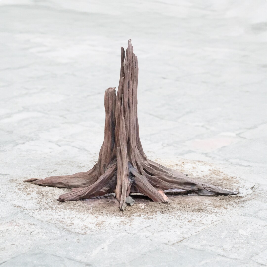 Aquarium Tree Stump Driftwood Bonsai Rustic Wood Aquascaping Hardscape ...