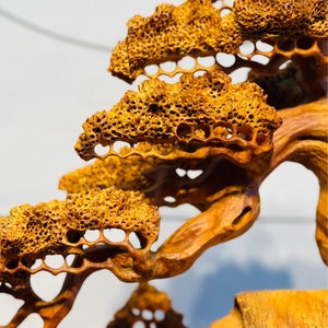 Wood Carving Bonsai Tree Landscaping Art Woodden Scuplture - Etsy