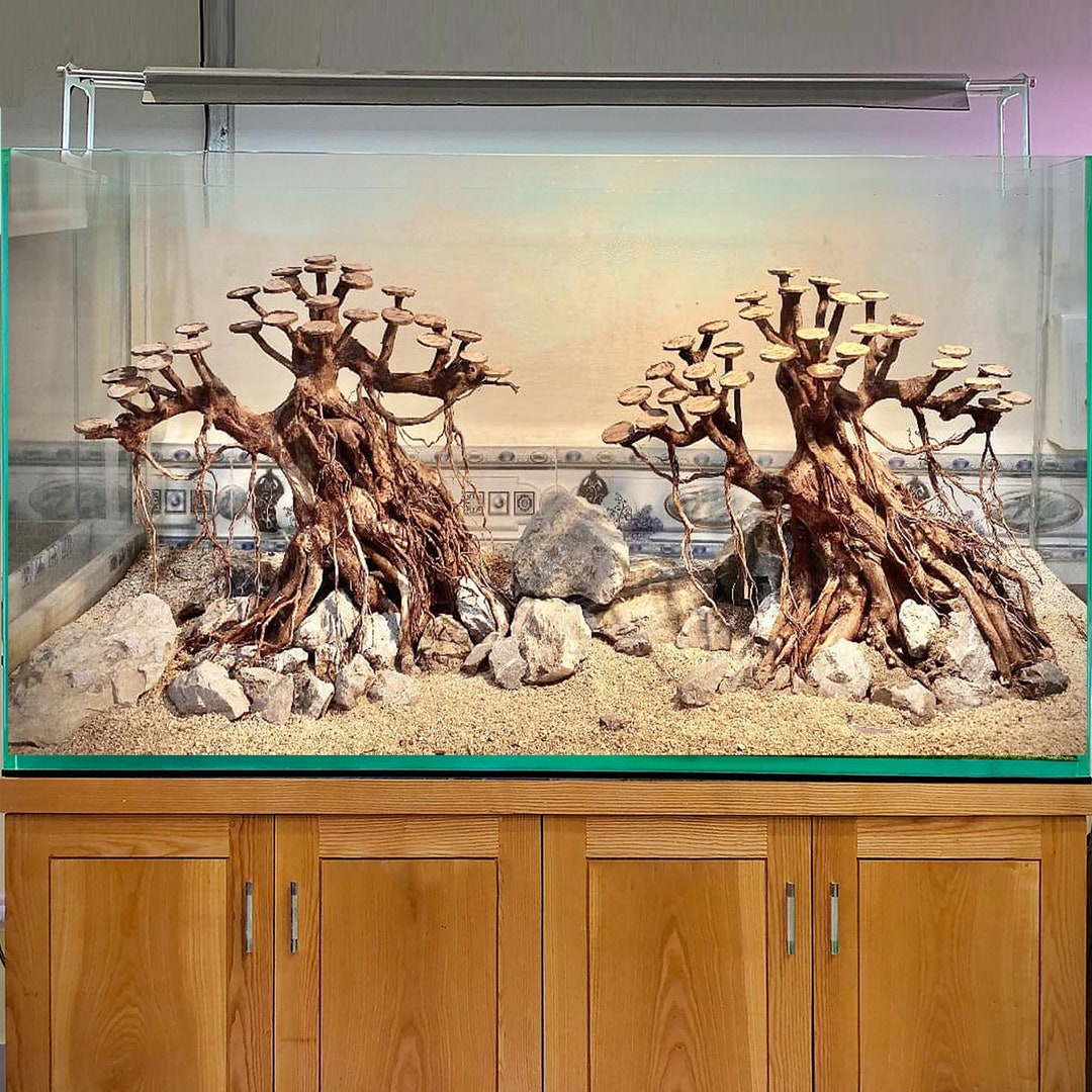 Driftwood Aquarium Bonsai Tree Fish Tank Decor at Home Aquarium Cave - Etsy