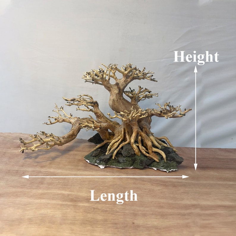 Bonsai Driftwood Aquarium Tree Aquascape Wood Fish Tank Decor - Etsy