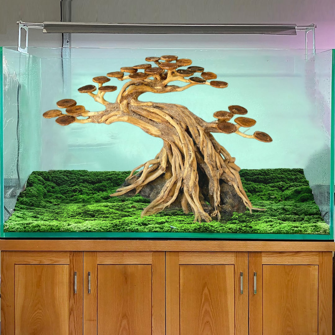 Aquarium Driftwood Bonsai Tree Drift Wood With Rock Fish Tank ...