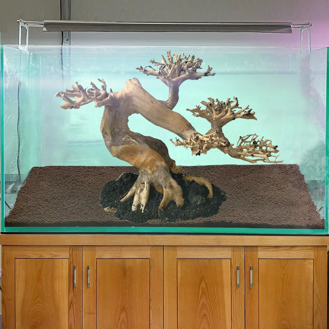 Aquarium Driftwood Bonsai Tree Aquascape Wood Fish Tank Decorations for ...