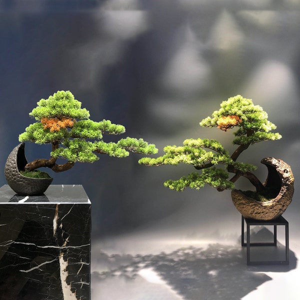 Bonsai Art - Etsy