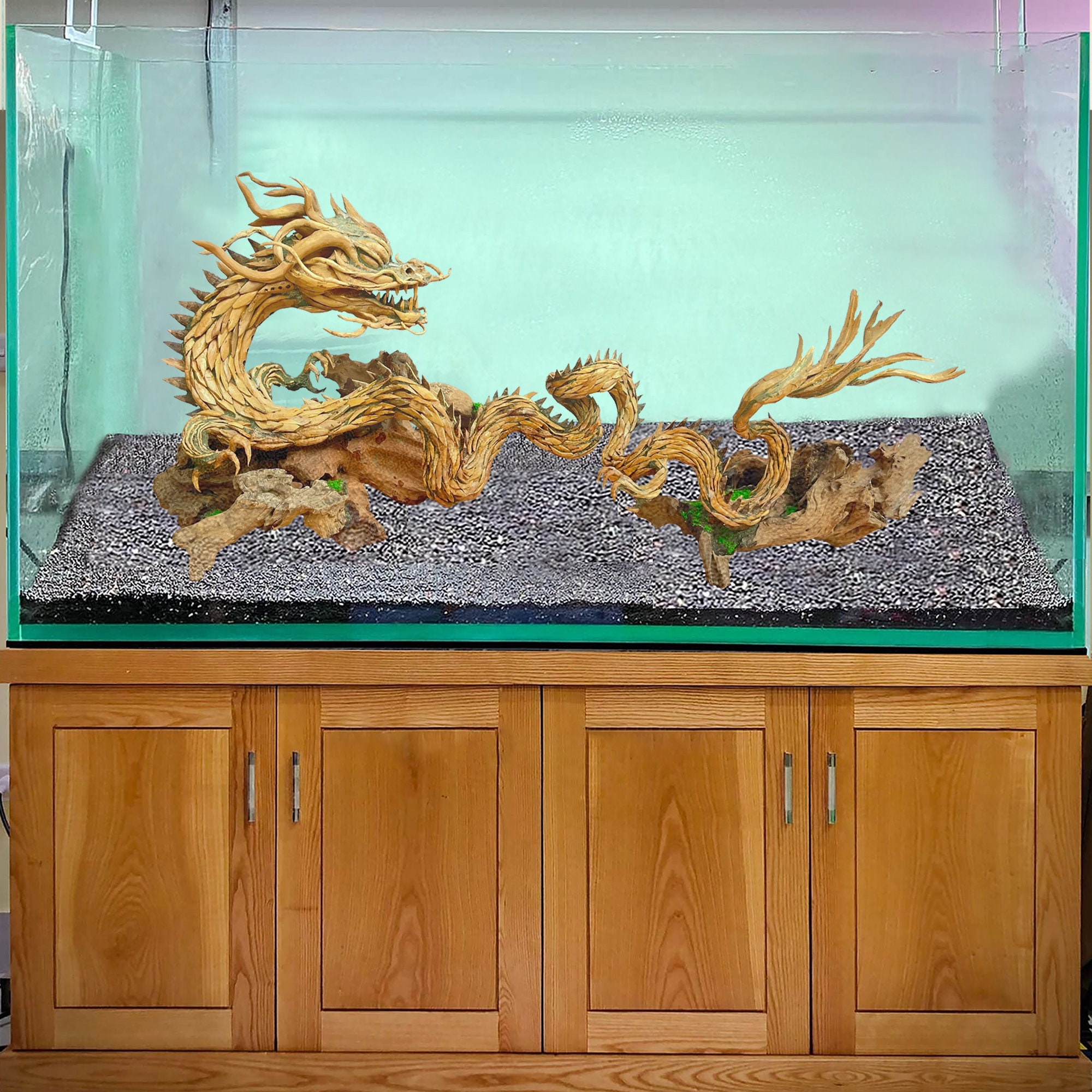 Dragon Fish Aquarium