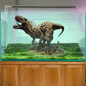 Tyrannosaurus Rex Fish Tank Drift Wood Aquarium Aquascape Rock ...