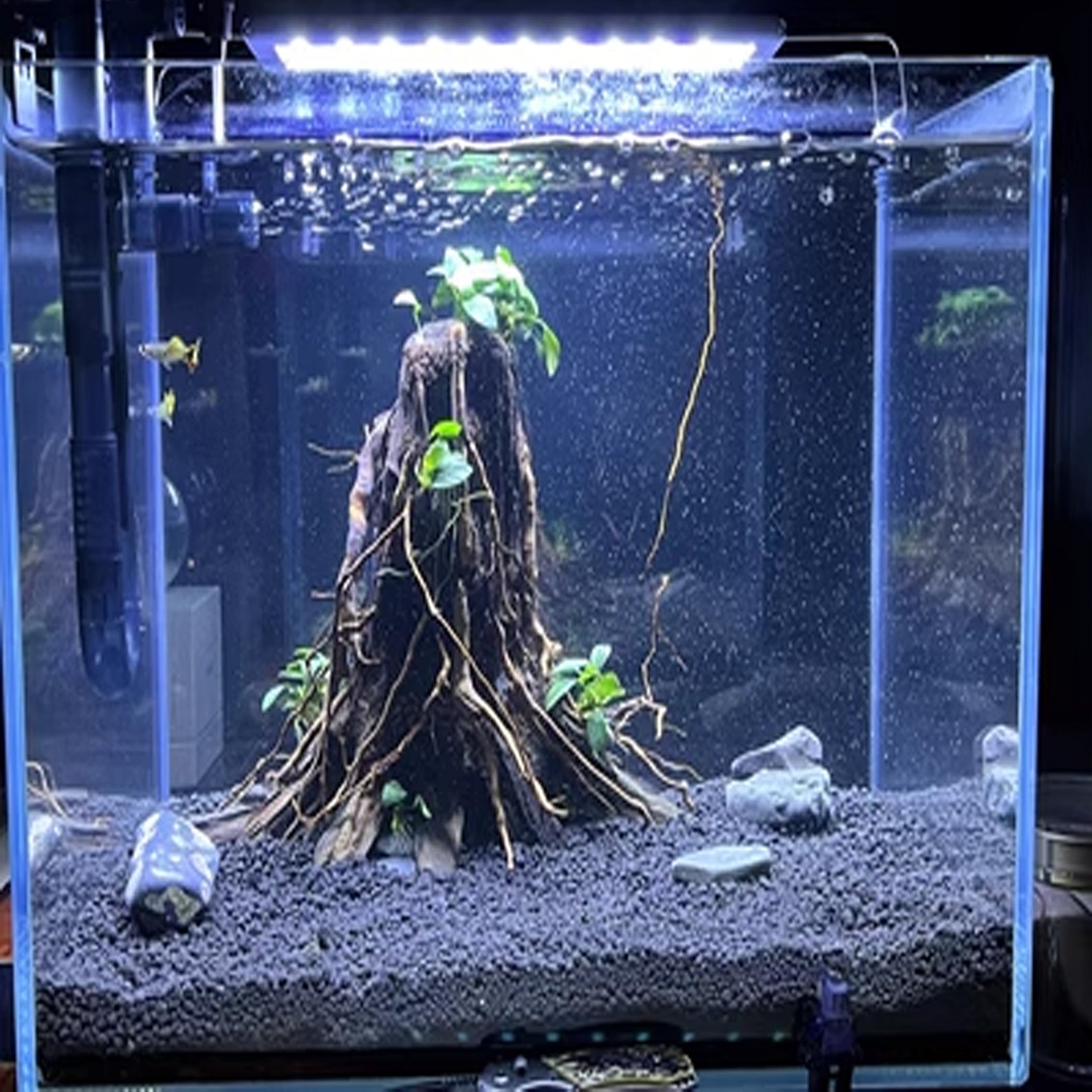 Aquarium Tree Stump Driftwood Bonsai Aquascaping Wood Fish Tank Plants ...