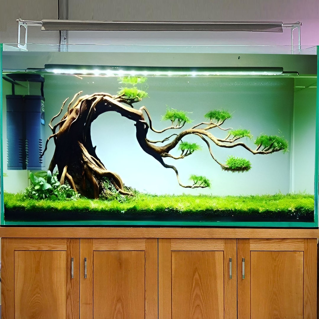 Aquarium Driftwood Bonsai Tree Aquascape Plants Fish Tank Plants Best ...