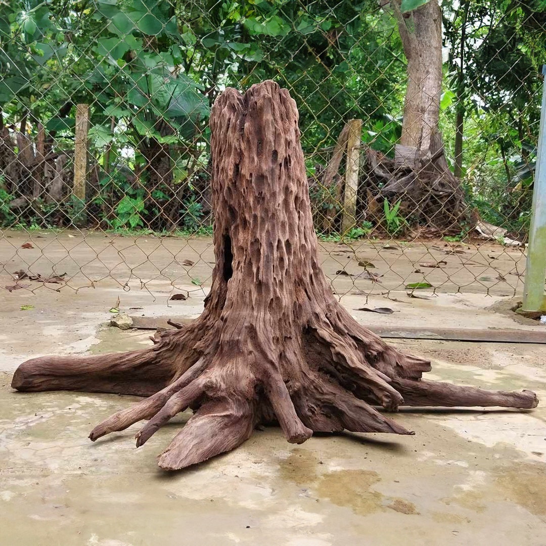 Tree Stump Driftwood Aquarium Wood Large Aquascape Decor Fish Tank ...