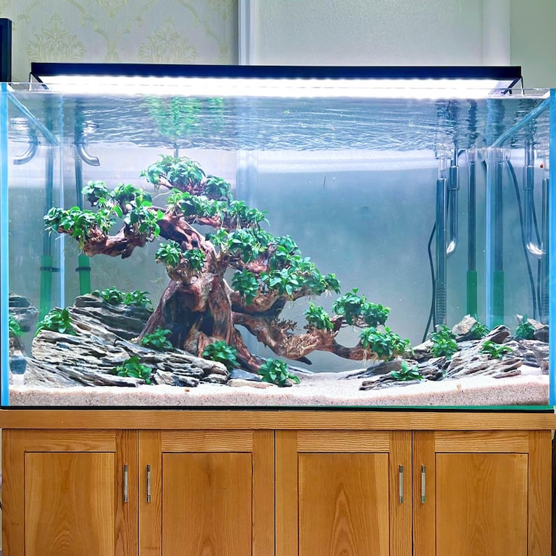 Bonsai Aquarium Tree Aquascape Driftwood Aquascaping Cave Fish - Etsy
