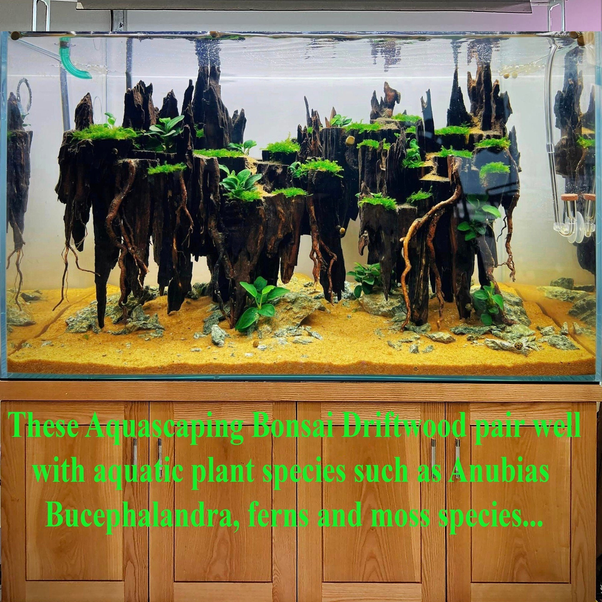 Drift Wood Aquarium Aquascape Bonsai Driftwood Wood Fish Tank Cave ...