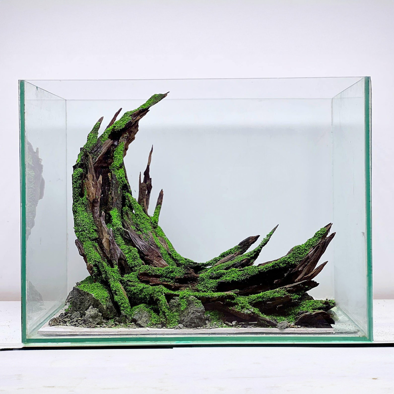 Aquascape Wood Aquarium Drift Wood Fish Tank Decor Driftwood Aquarium ...