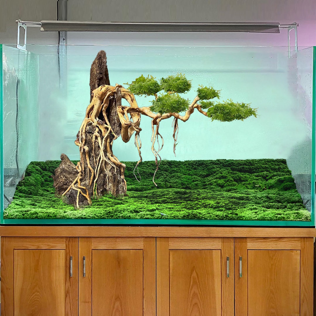 Aquarium Driftwood Bonsai Aquascape Rocks Drift Wood Tree Fish Tank ...
