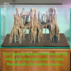 Aquascape Bonsai Driftwood Aquarium Tree Landscape Superfish Fish Tank Ornament - Etsy