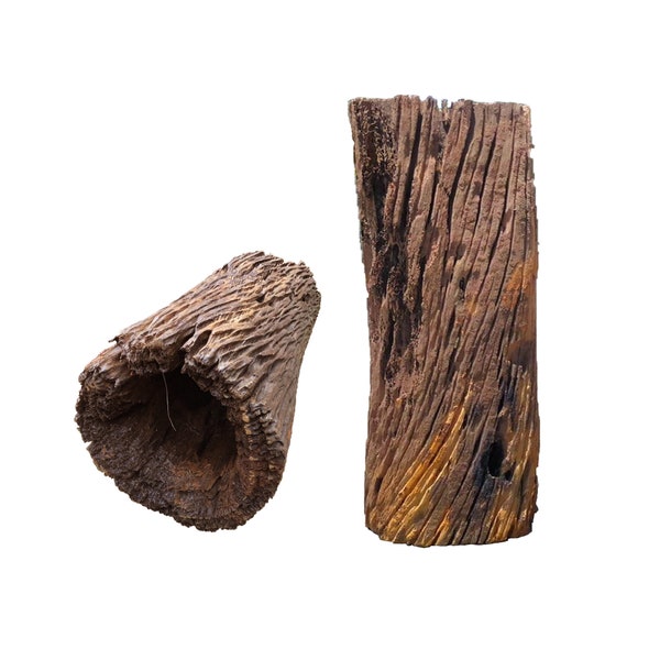 Fish Tank Log Cave - Etsy