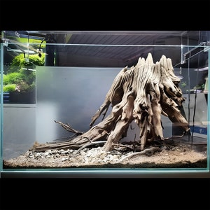 Driftwood Aquarium Tree Stump Cave Aquascape With Plant Fish Tank ...