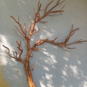 Tree Branch Coat Rack Wall Mount Natural Driftwood Branch Coat Hook ...