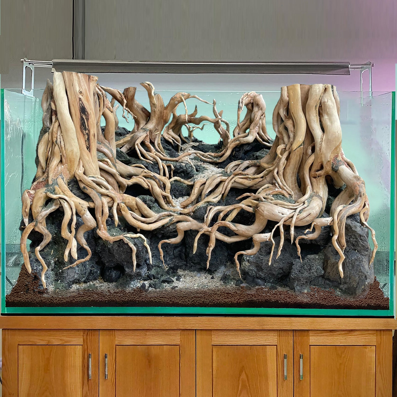 Drift Wood Aquarium Aquascape Driftwood Bonsai Freshwater Aquatic ...