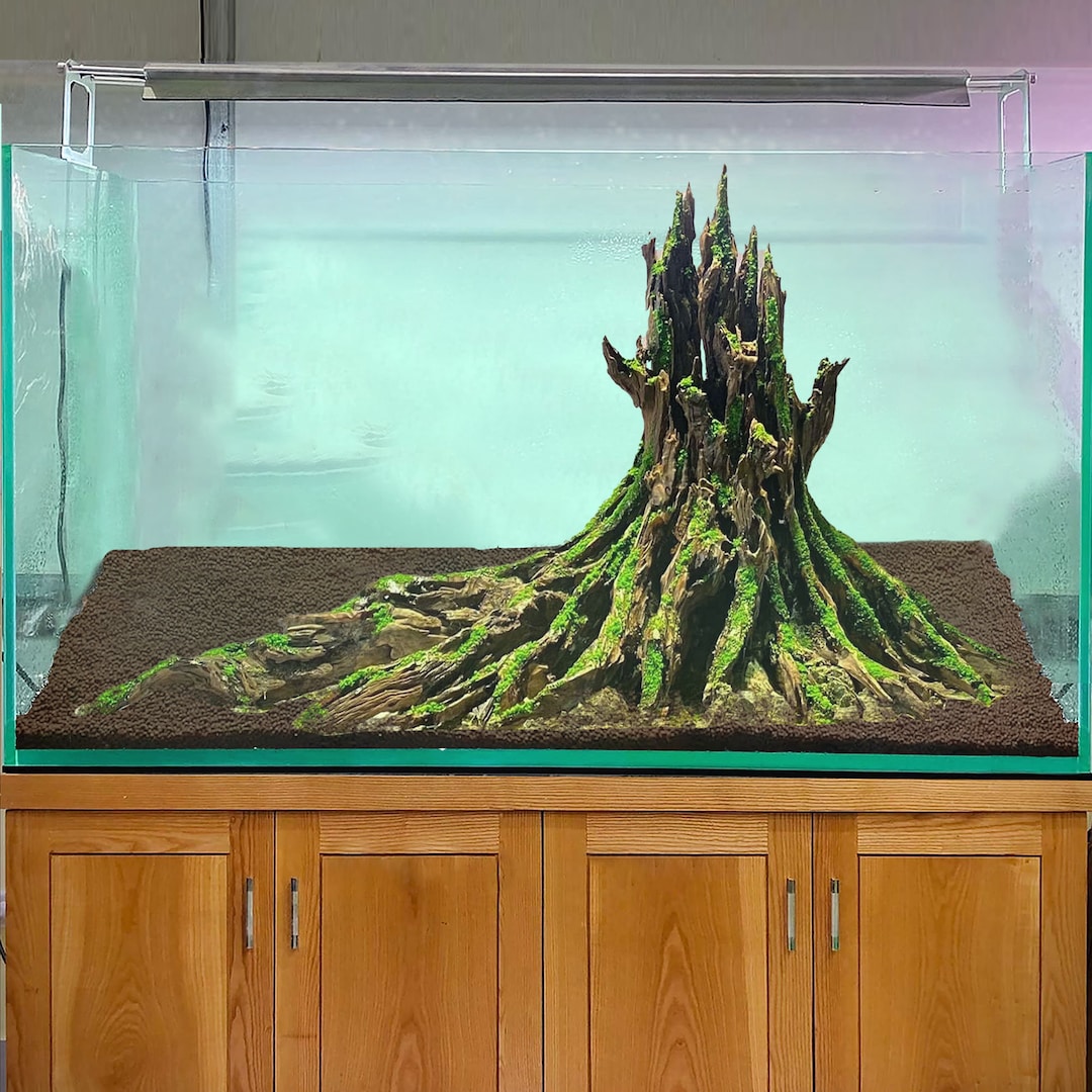 Large Aquarium Driftwood Stump Tree Aquascape Driftwood Art Aquarium ...