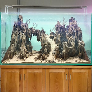 Dragon Stone Aquarium Aquascape Bonsai Driftwood Large Fish Tank ...
