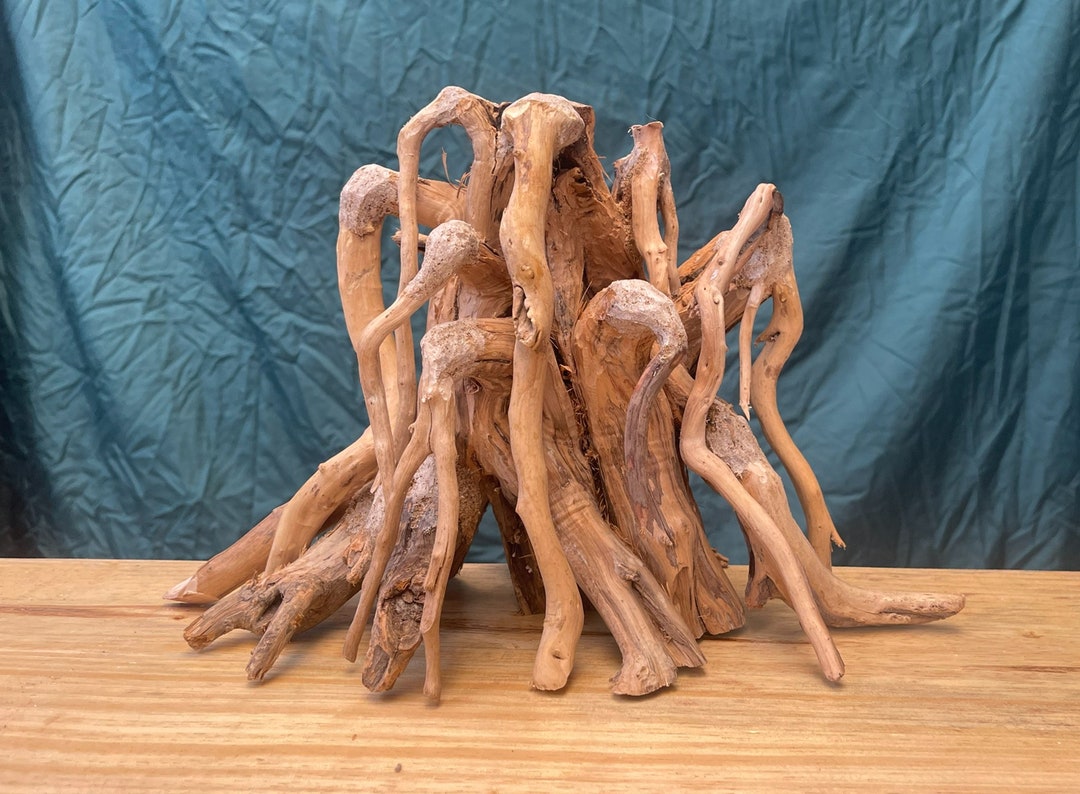 Aquarium Tree Stump Driftwood Bonsai Aquascape Decor Fish Tank - Etsy