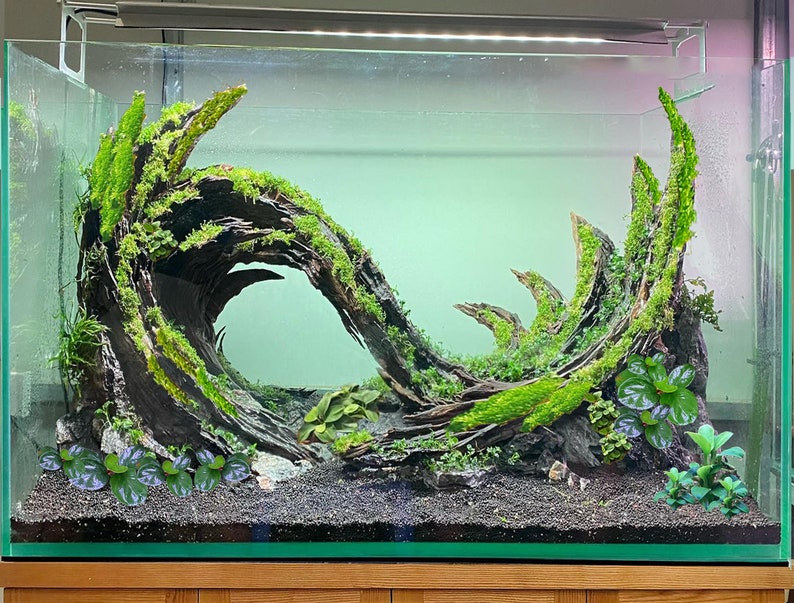 Aquascape Driftwood Aquarium Rock Bonsai Drift Wood Freshwater Fish ...
