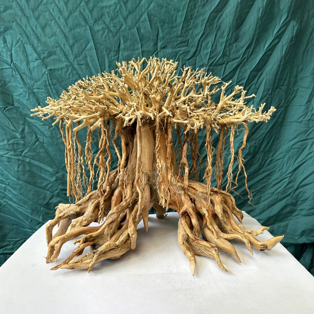 Aquarium Bonsai Tree Aquascape Driftwood Plant Fish Tank Decorations - Etsy