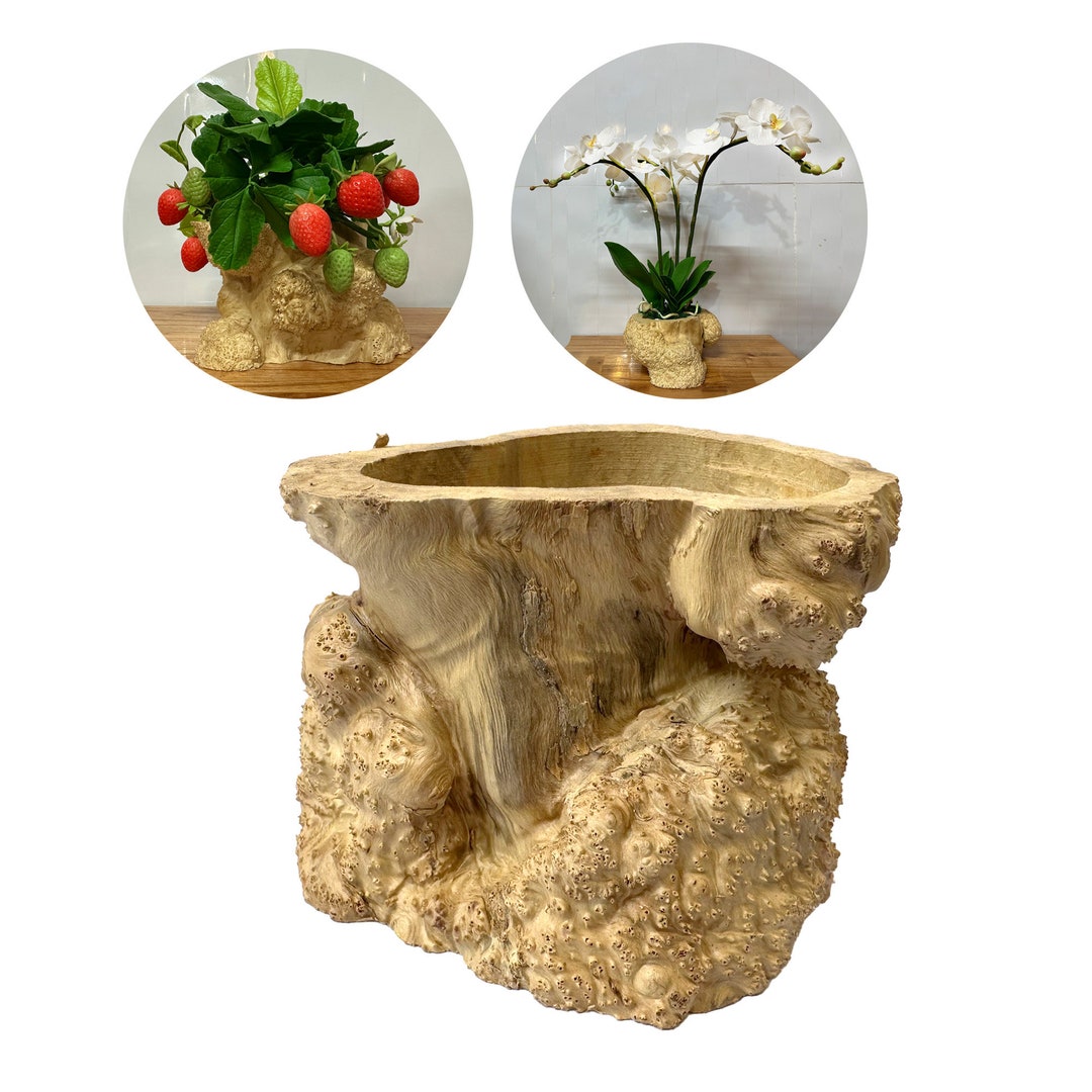 Tree Stump Planter Small Unique Flower Pot Succulent Pot Home Decor - Etsy