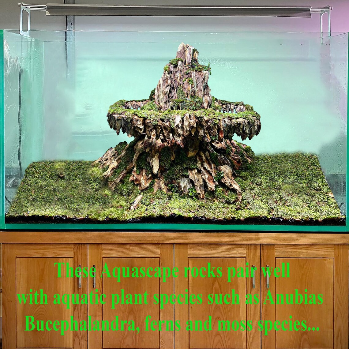 Dragon Stone Aquarium Volcano Aquascaping Rocks Bonsai - Etsy