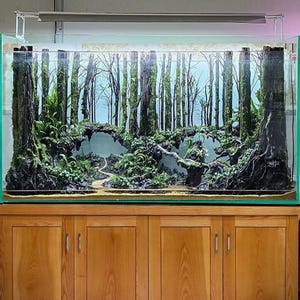 Large Driftwood Hardscape Cave Lava Rock Aquascape Aquascaping Fish ...