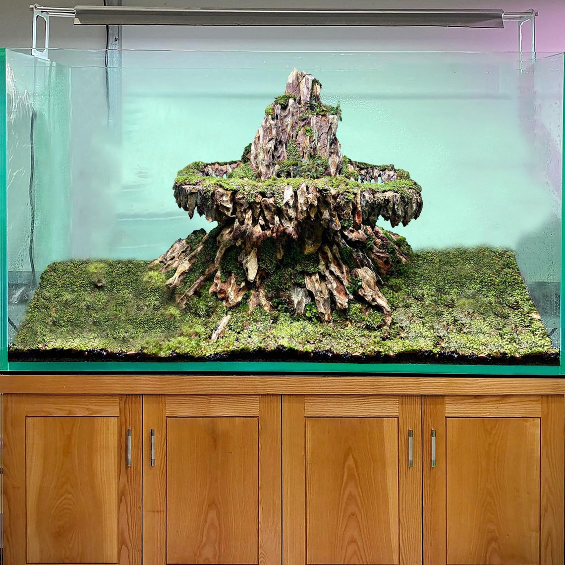 Dragon Stone Aquarium Volcano Aquascaping Rocks Bonsai - Etsy