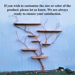 Tree Branch Shelves Live Edge Wall Mount Floating Bookshelf Tree ...