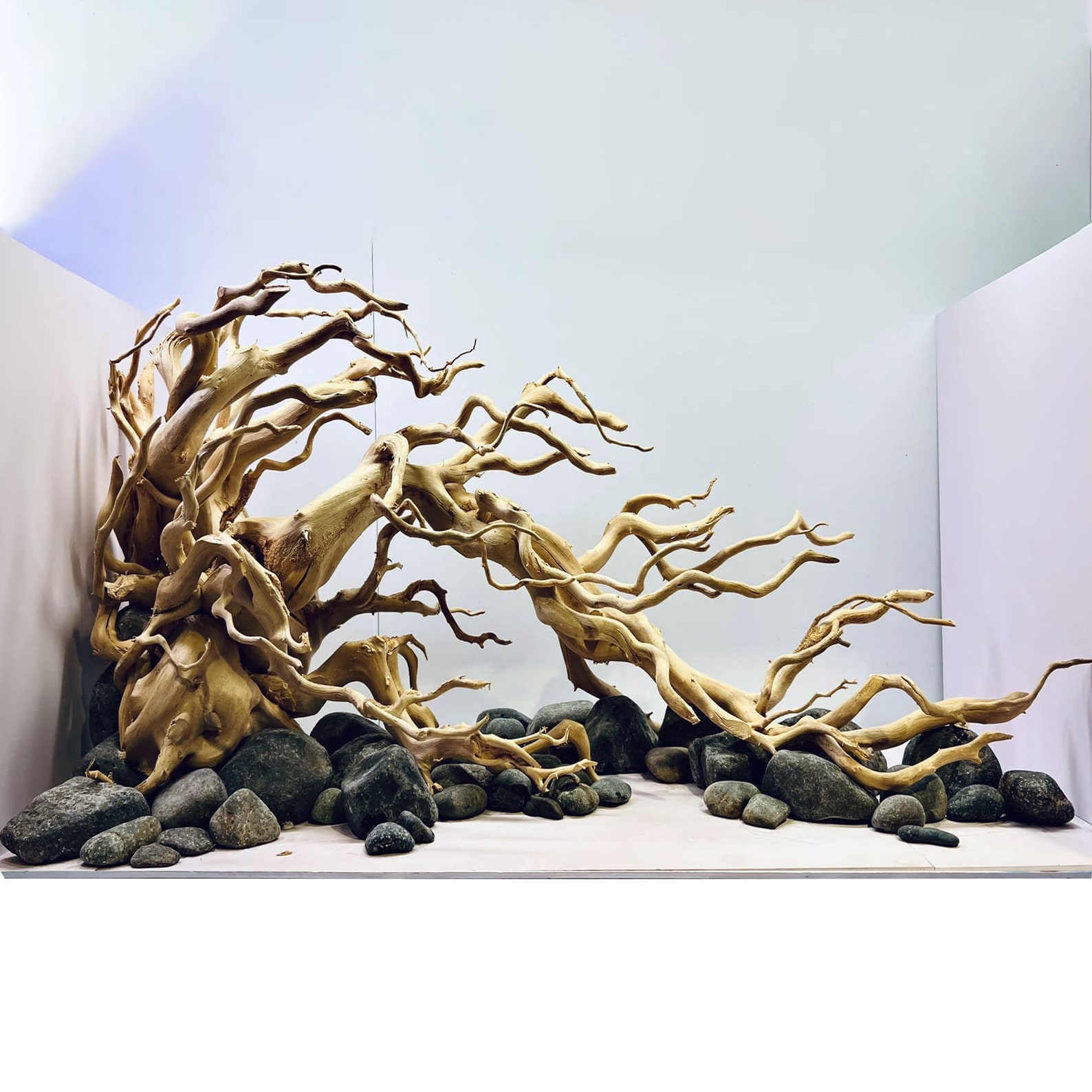 Drift Wood Bonsai Aquarium Rock Pebble Art Aquascape Real Driftwood ...