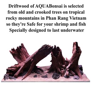 Aquascape Aquarium Driftwood Stump Tree Bonsai Aquascaping Decor Fish ...
