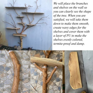 Tree Branch Shelves Live Edge Wall Mount Floating Bookshelf Tree ...