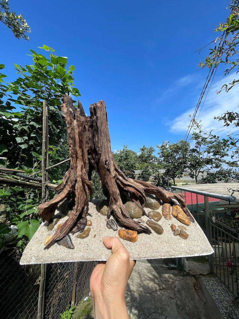 Aquarium Tree Stump Driftwood Bonsai Aquascaping Wood Fish Tank Plant ...