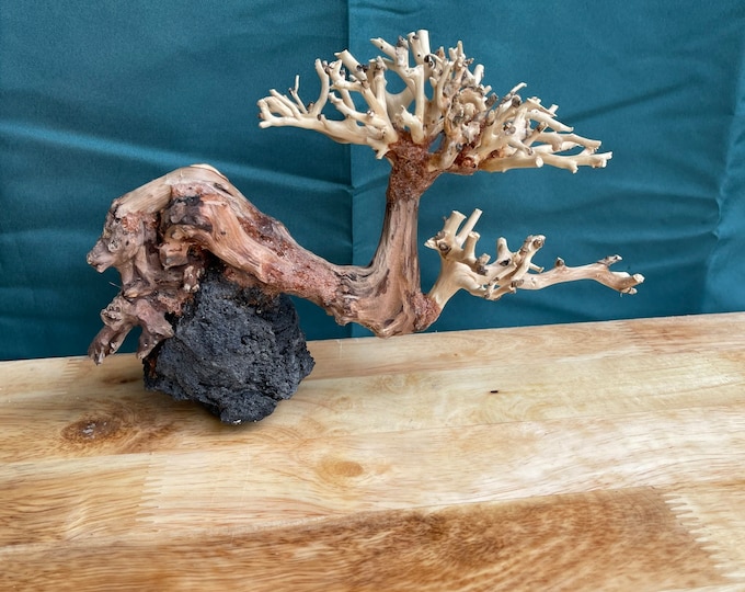 Spider Wood Aquarium Driftwood for Aquarium, Terrarium, Vivarium, and ...