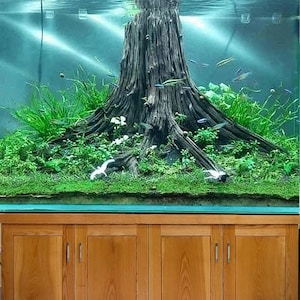 Driftwood Aquarium Tree Stump Large Extra Aquascape Hardscape Bonzai ...