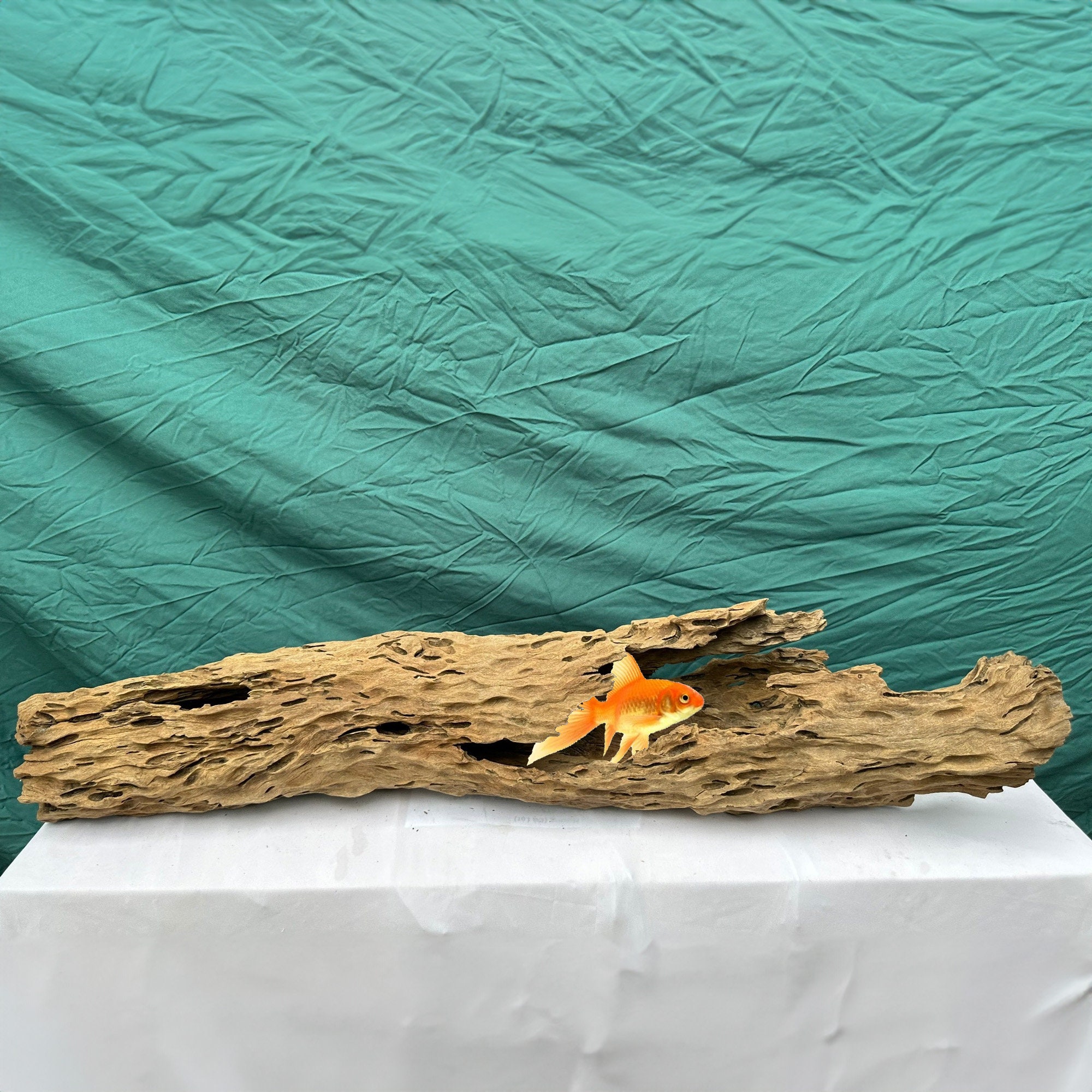 Hollow Driftwood Log Aquarium Hide Drift Wood Cave Fish Tank - Etsy