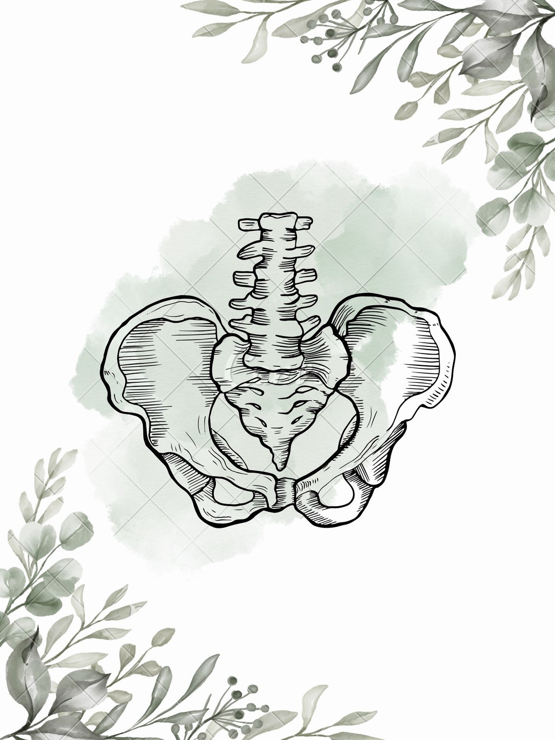 DIGITAL DOWNLOAD - Floral Pelvis - Etsy