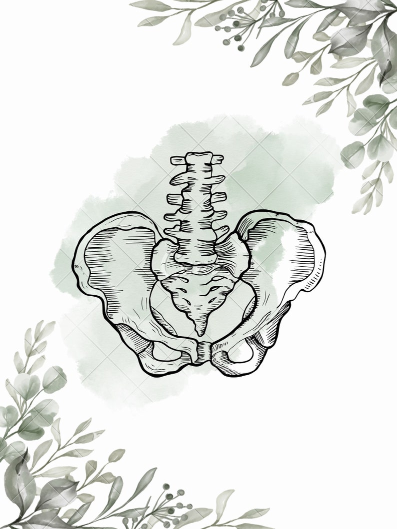 DIGITAL DOWNLOAD - Floral Pelvis - Etsy