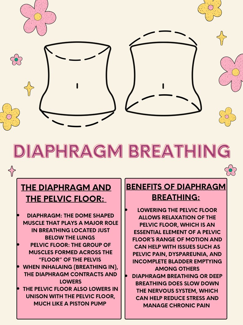 DIGITAL DOWNLOAD - Diaphragm Breathing - Etsy