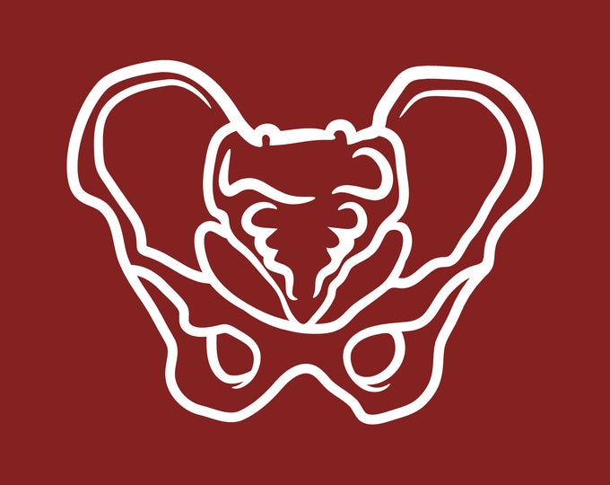 Pelvic Urine Svg, Pelvic Floor Clipart, PT Png, Hip Bone Svg, Physical ...