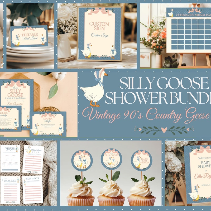 Silly Goose Baby Shower - Etsy