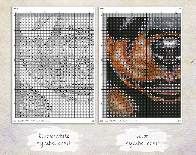 Modern Small Full Coverage Cross Stitch Pattern PDF With a - Etsy