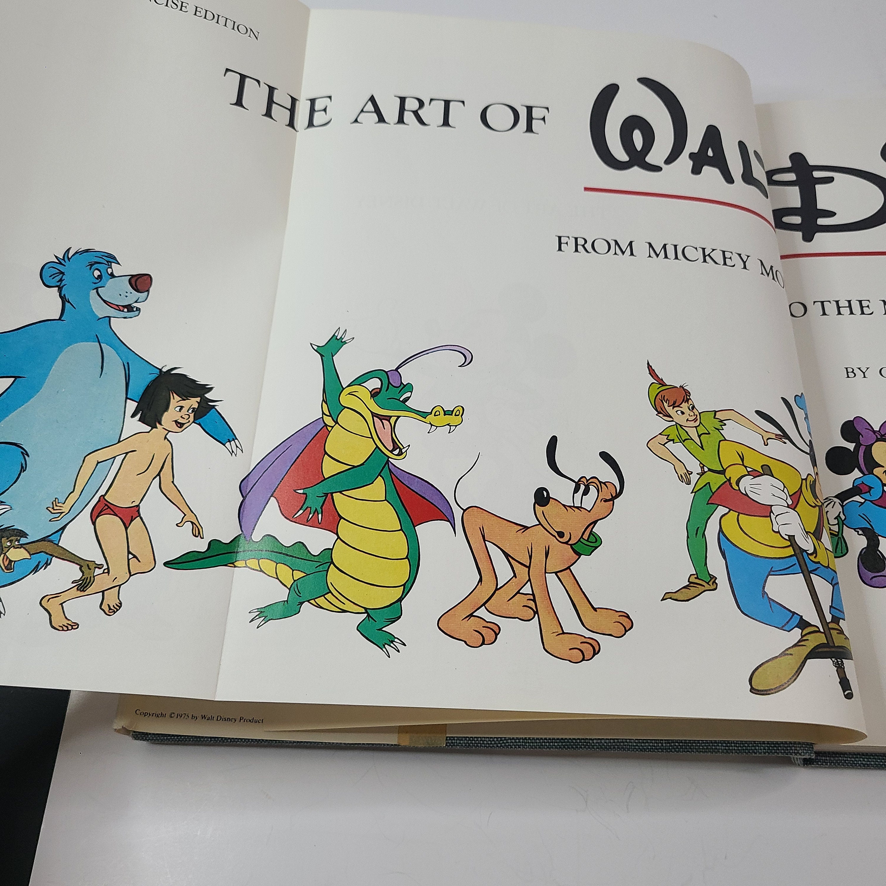Vintage the Art of Walt Disney From Mickey Mouse to the Magic Kingdoms ...